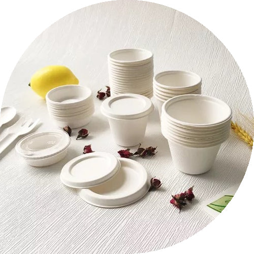 Bagasse Sauce Containers & Lids – Dispo International