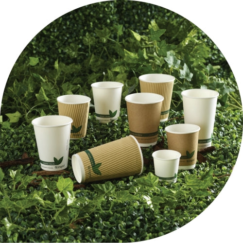 Paper Cups – Dispo International