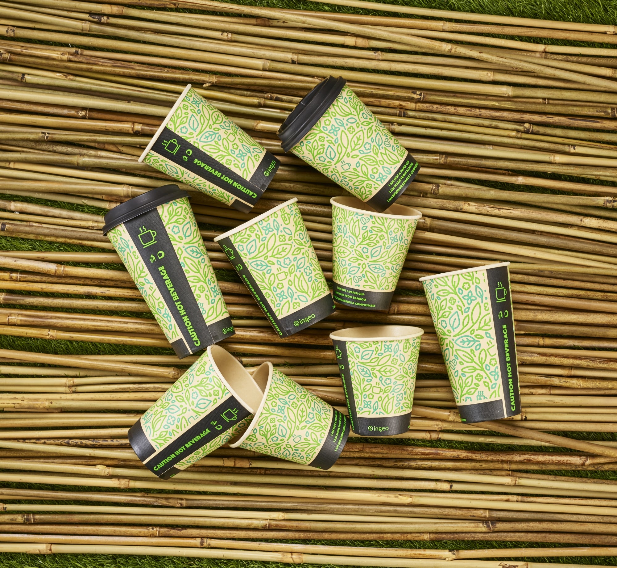 Catering Disposables | Dispo – Dispo International